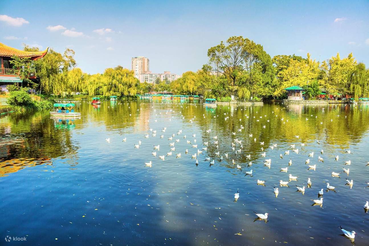 [Masuk Kunming Lebih Disukai] Liburan mewah 6 hari 5 malam di Kunming ...